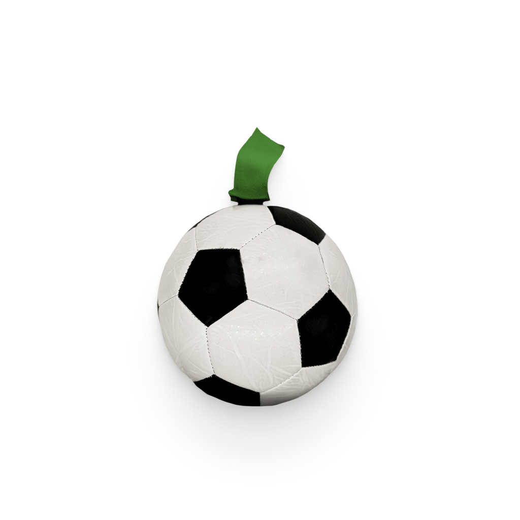 Dog Soccer Ball Toy Camp Wonders