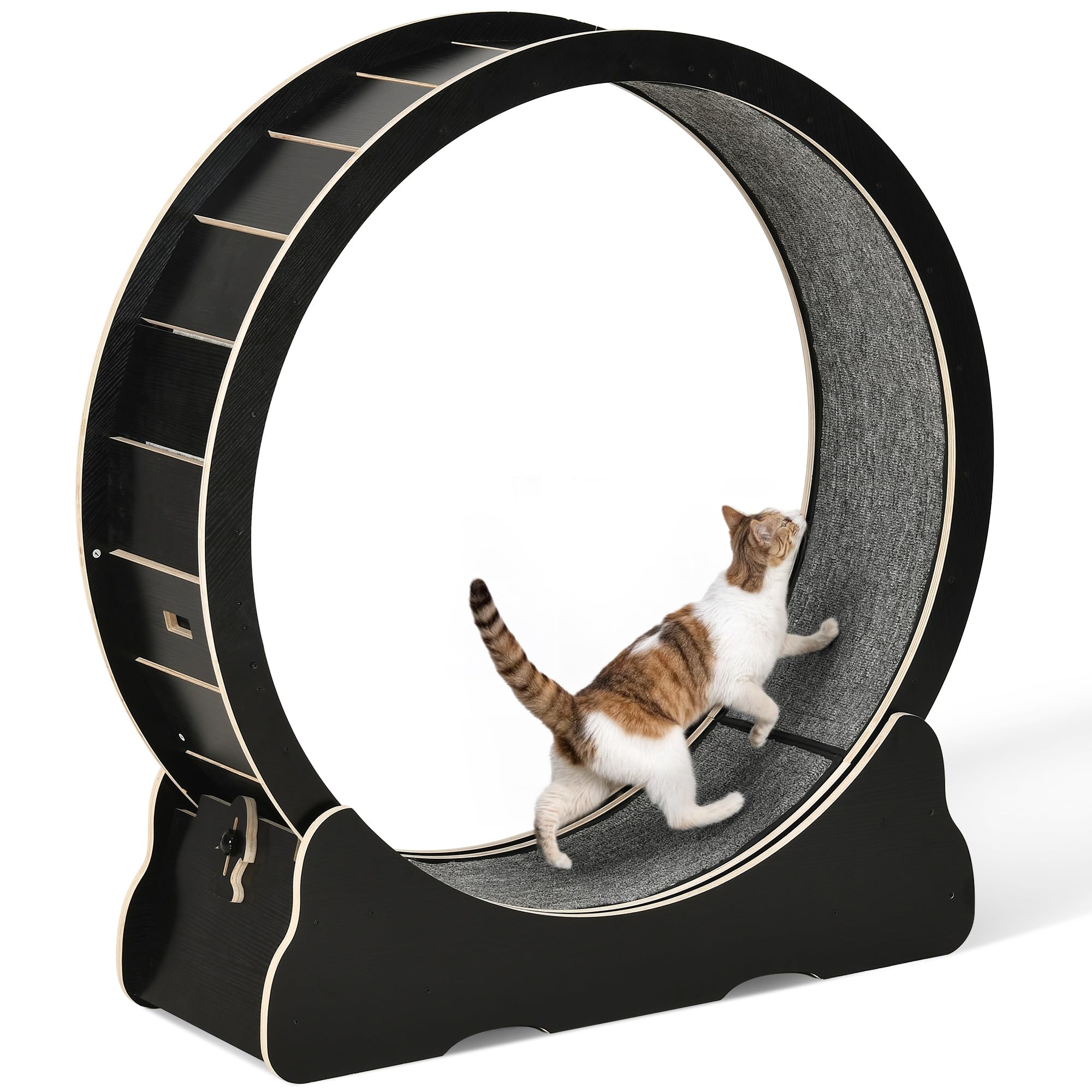 Indoor Cat Exercise Wheel - OneLife Mart